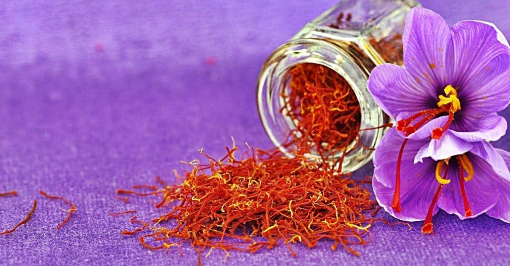 SAFRAN NEDİR? SAFRAN NE İŞE YARAR? ZARARI VAR MIDIR? – Tat İlaç